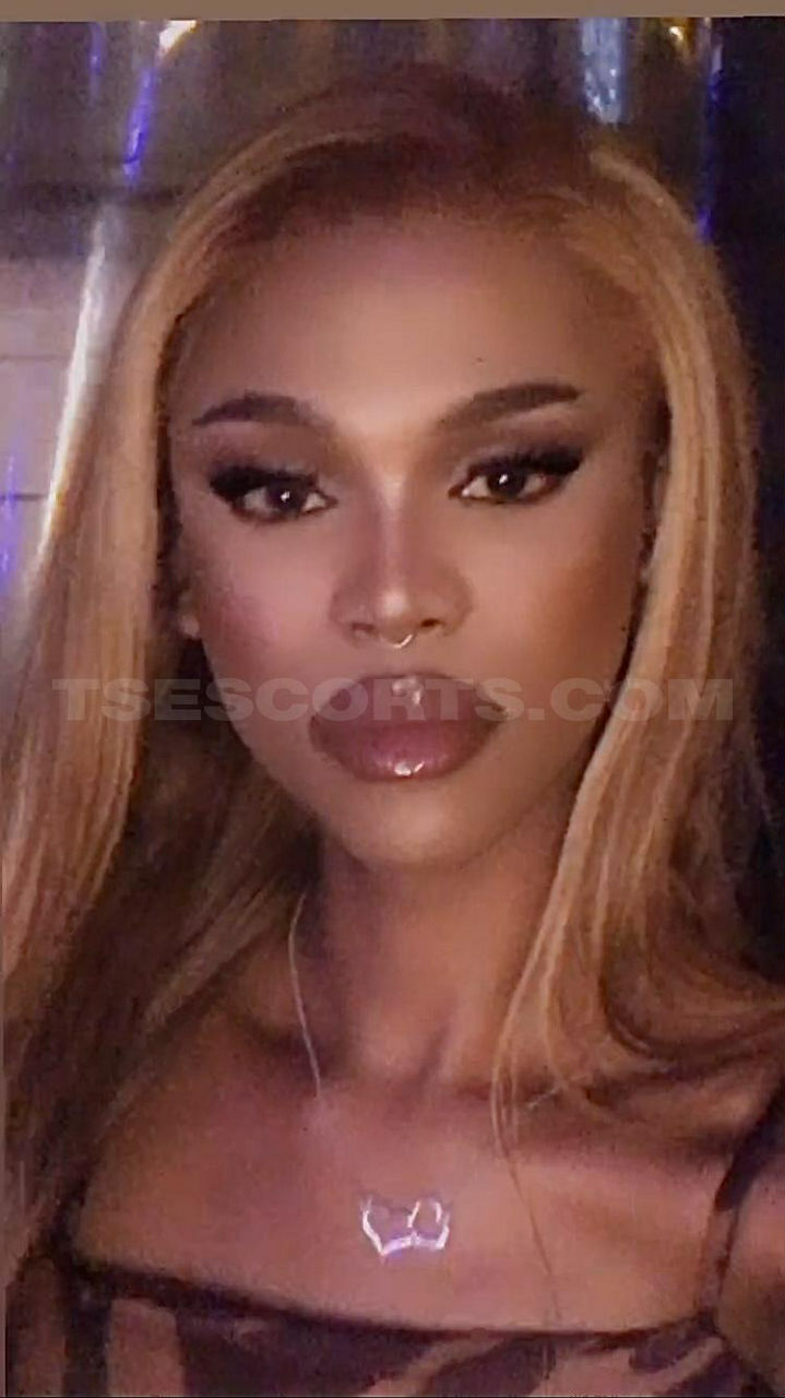 KiKi FoxXx | Shemale Escort in Johannesburg South Africa | +27 84 985 4855 - HOT.com