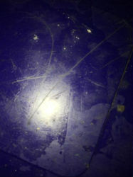 Decatur Escorts 🔥 Female Escort & Call Girls in Illinois - HOT.com